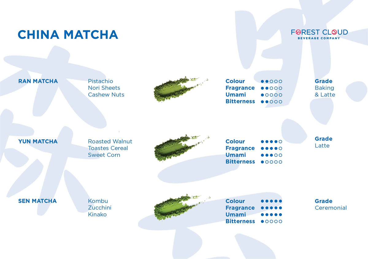 Forest Cloud - Sen Matcha (Ceremonial) – thecoffeeguy